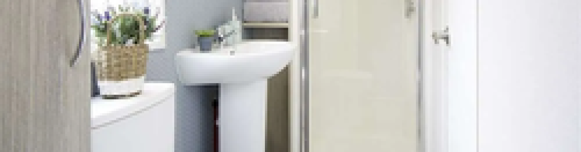 Shower Mixer V100 and V200