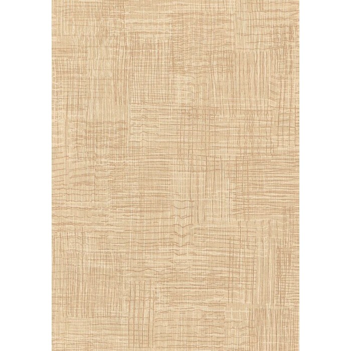 Exterior Wall Light Brushed Stainless Steel - 19095